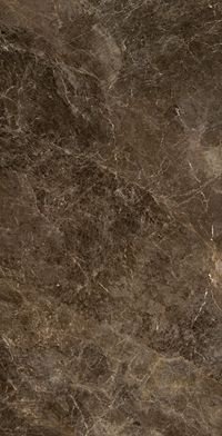 Керамогранит Breccia Braque Lap Luc Rett. 60x120 Коричневый - купить в ...